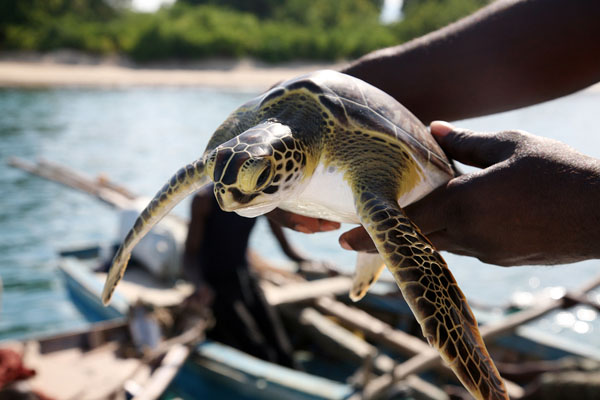 Celebrity Xploration | Galapagos Northern Loop Cruise - 2025 | Deal ...